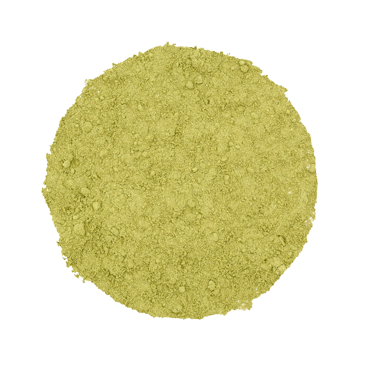 Wheatgrass Juice Powder - Made from Organically grown Sharbati variety ...