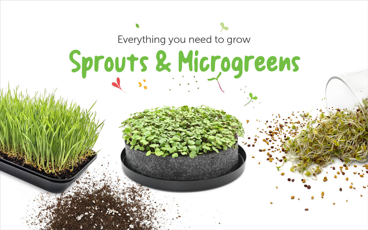 The Best Online Satvic Lifestyle Store India! | Satopradhan