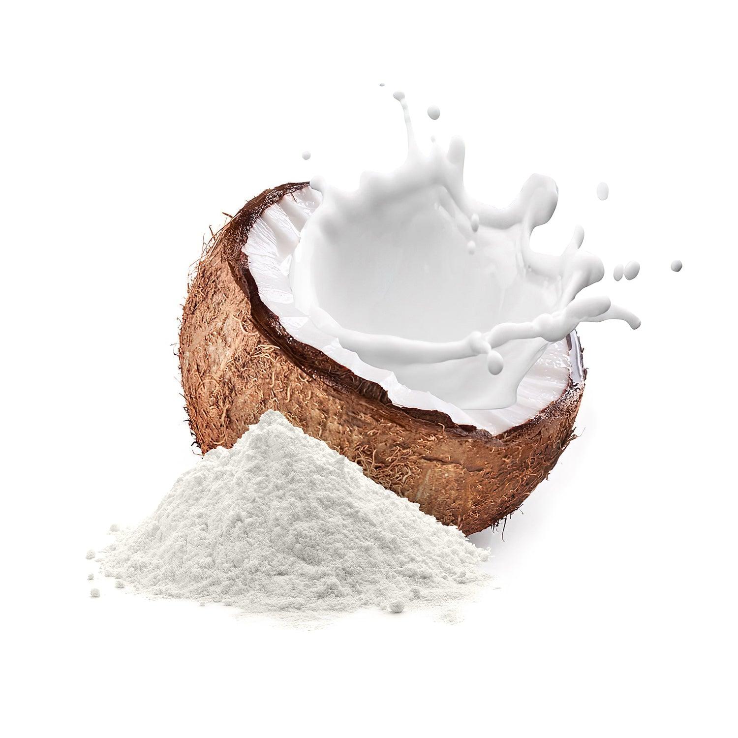 Get Tastiest Vegan Coconut Milk Powder - 200g